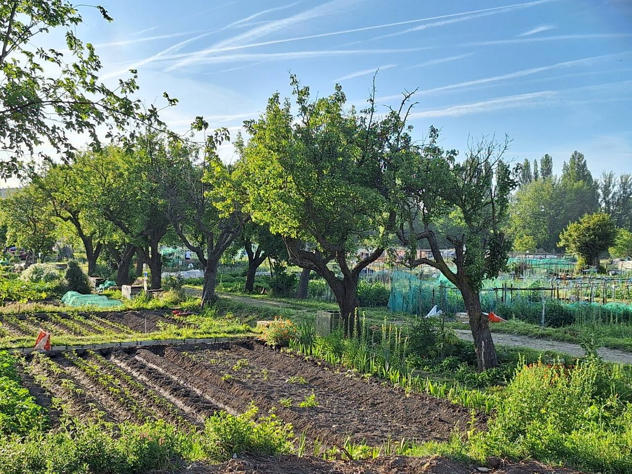 Huertos Urbanos - El Huerto del Patio